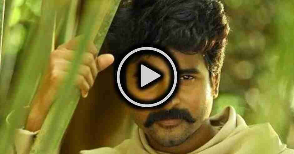 KJR Studios to take over Sivakarthikeyan Ravikumar movie | Galatta