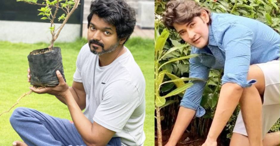 Vivekh praises Thalapathy Vijay and Mahesh Babu planting trees