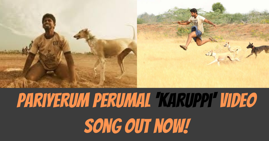 Pariyerum perumal 'karuppi' video song out now | Galatta